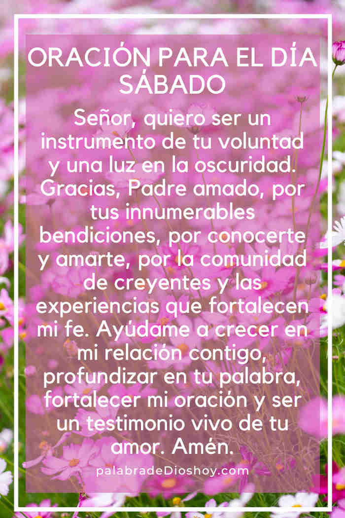 Oración diaria con versículo bíblico e imagen | oración del día (2024)